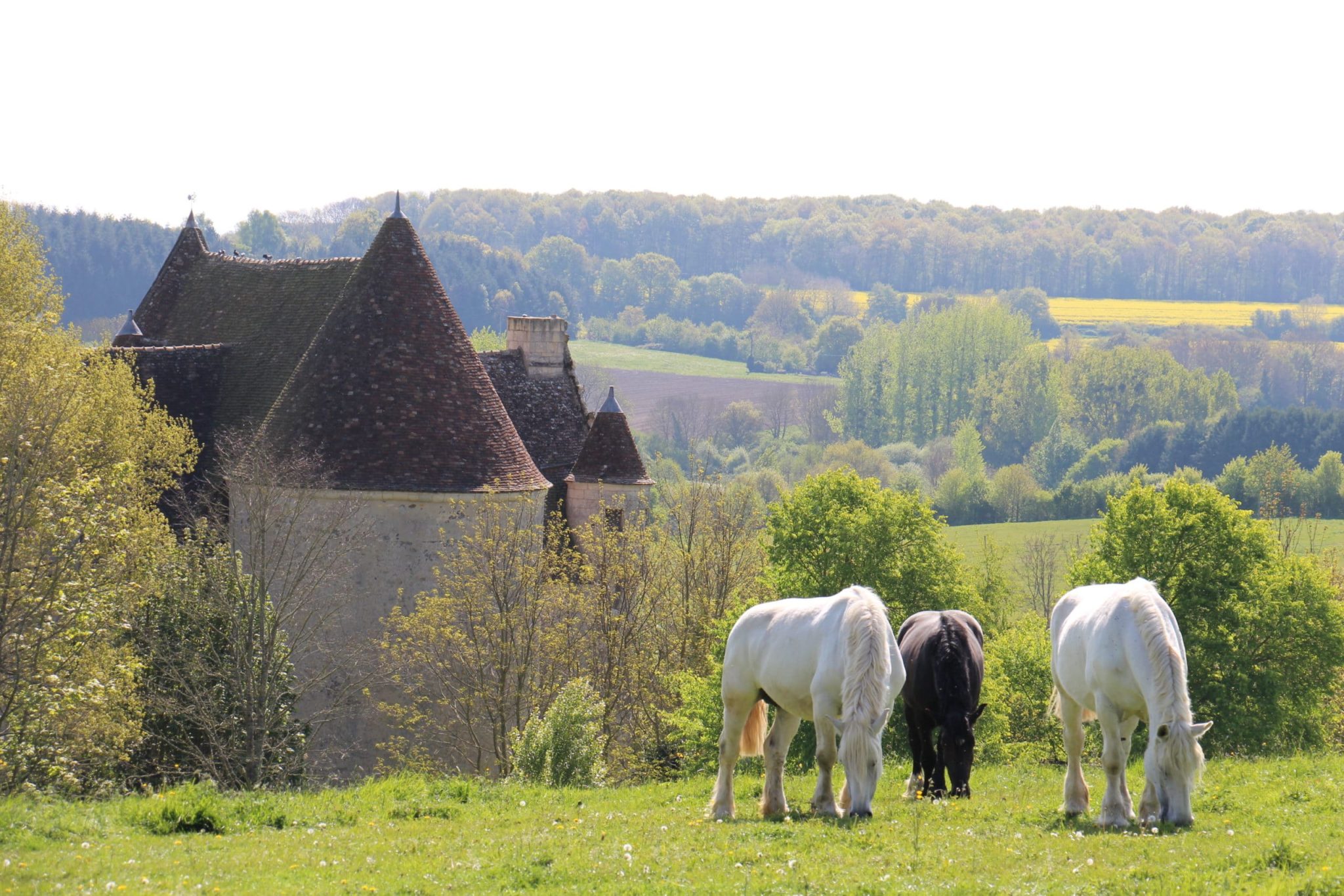 Découvrir le Perche | Le Moulin de Gémages